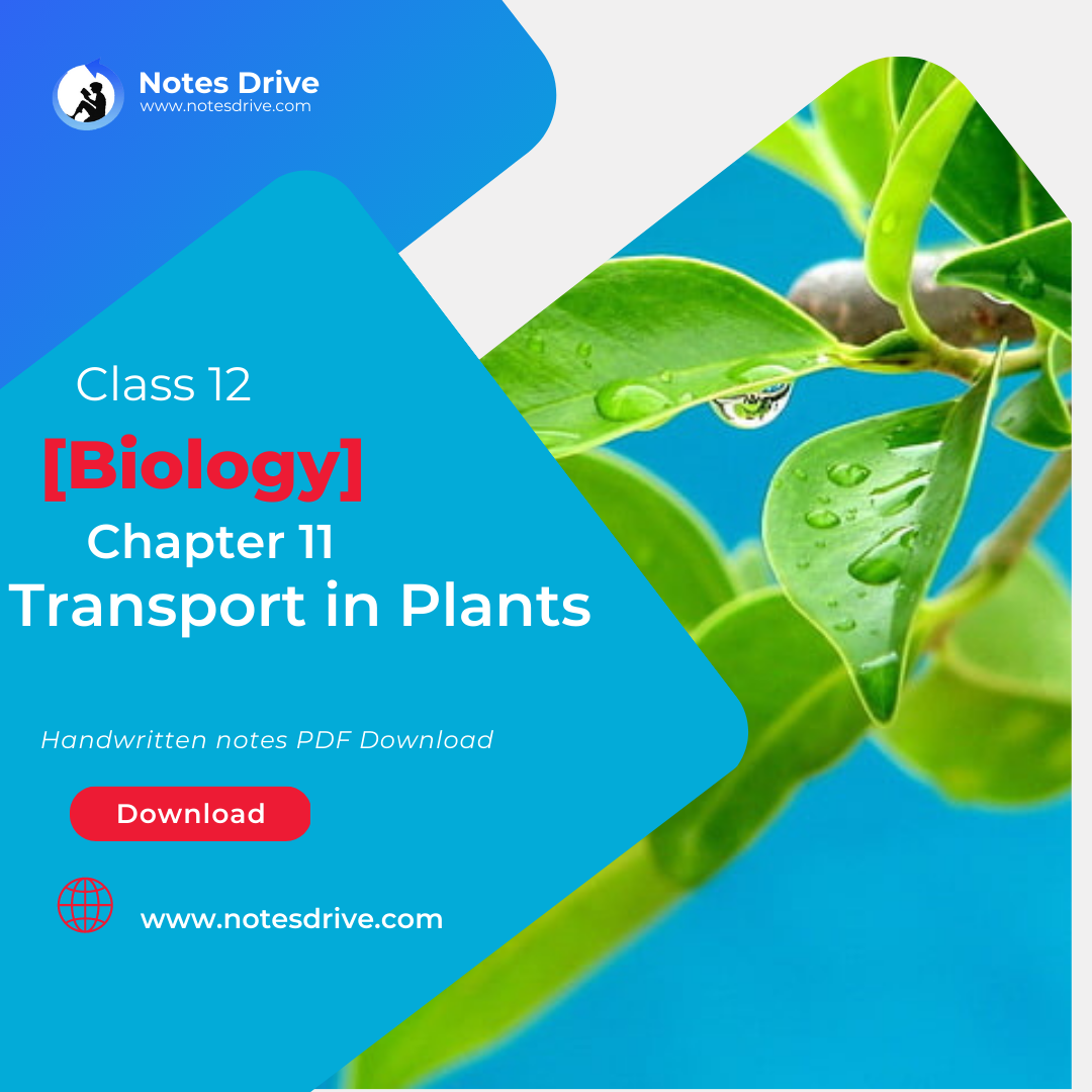 Class 11 Biology Chapter 11 Transport In Plants Handwritten Notes Pdf